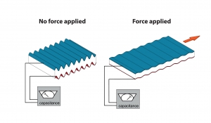 Electroactive polymer actuators feature microstructured surface ...