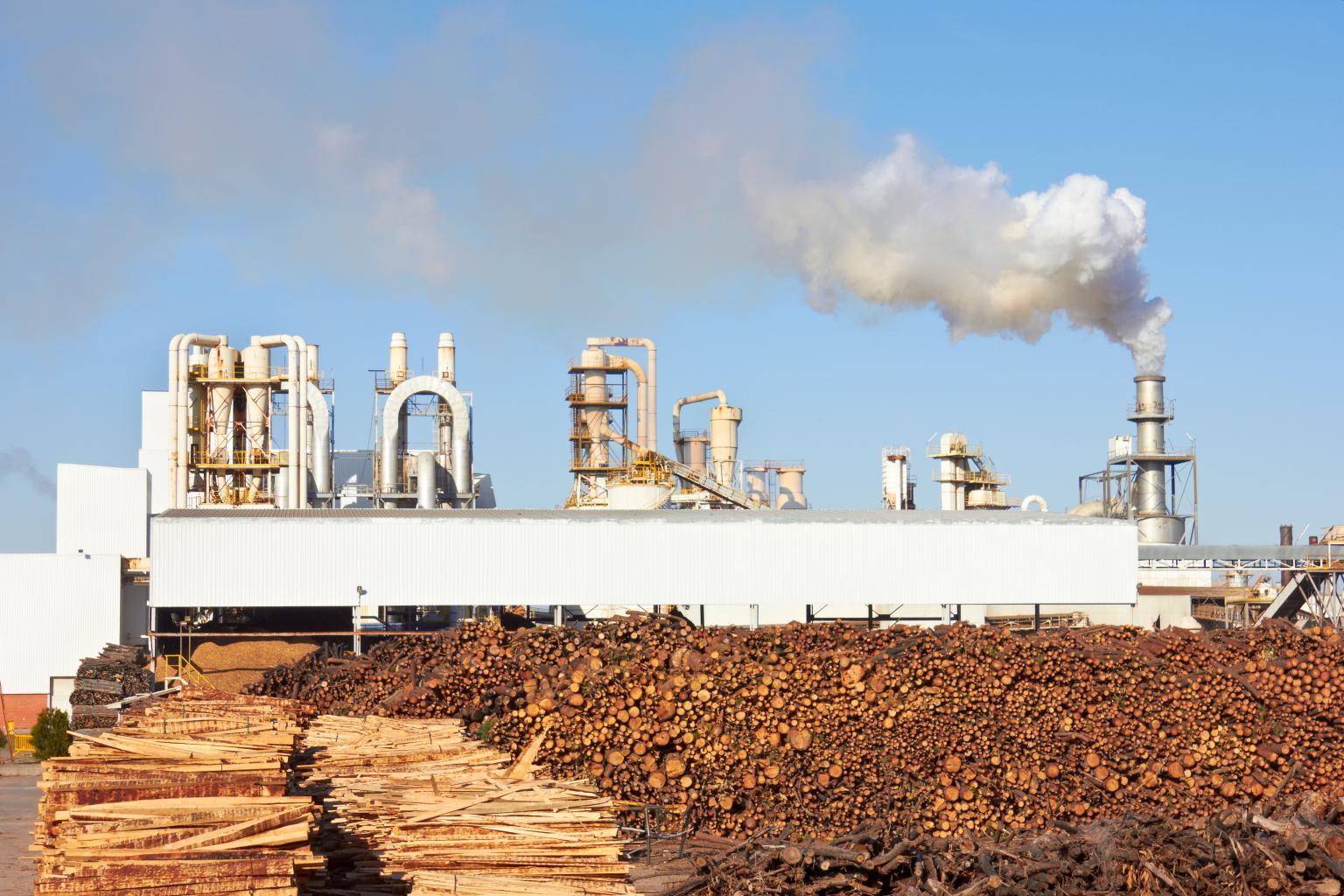 Keeping a paper mill operational | Engineer Live